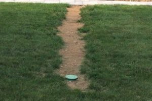 Where to Find The Most Popular Drainage Solutions in NJ